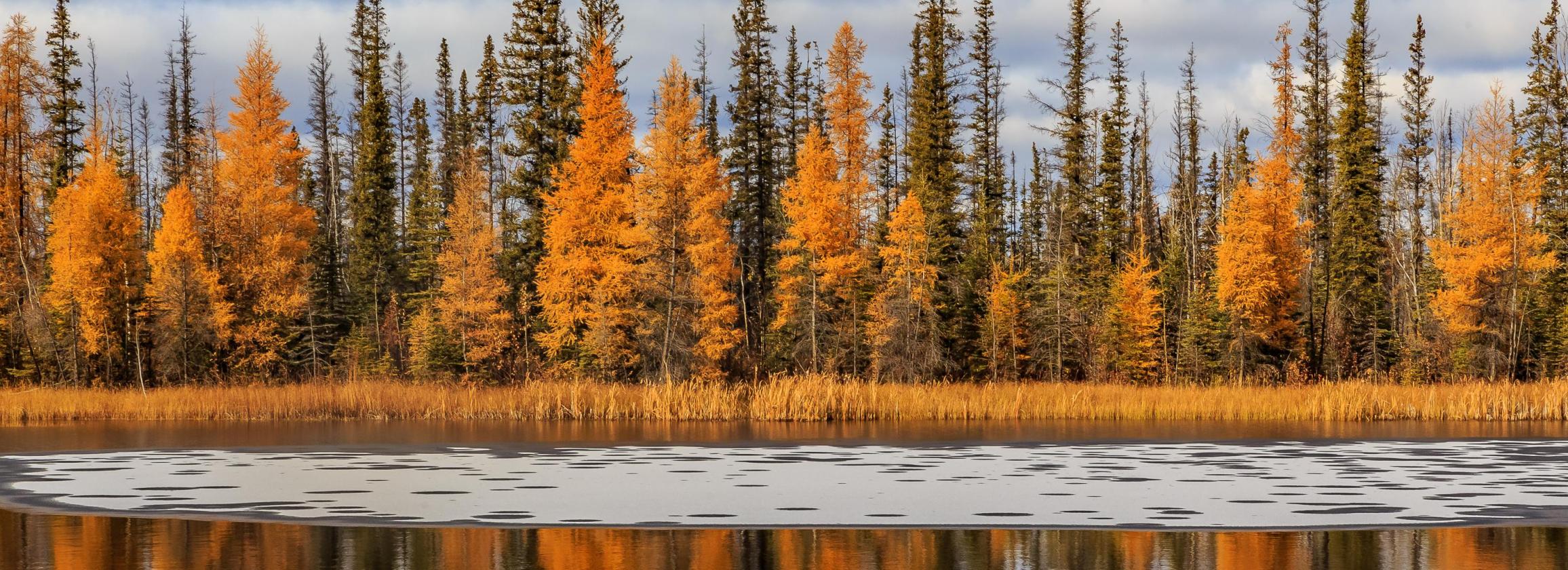 Where the Rivers Learn to Pray – Mackenzie-Fort Smith